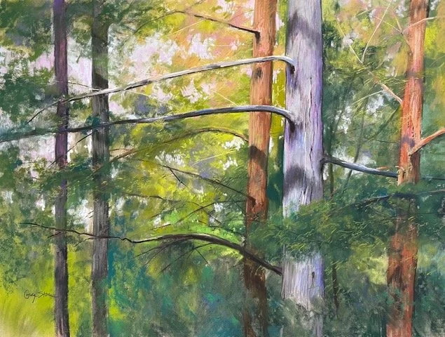 GREG STONE — Warm Springs Gallery