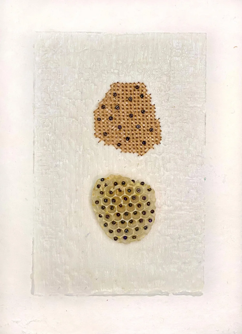 AVA ROTH — Warm Springs Gallery