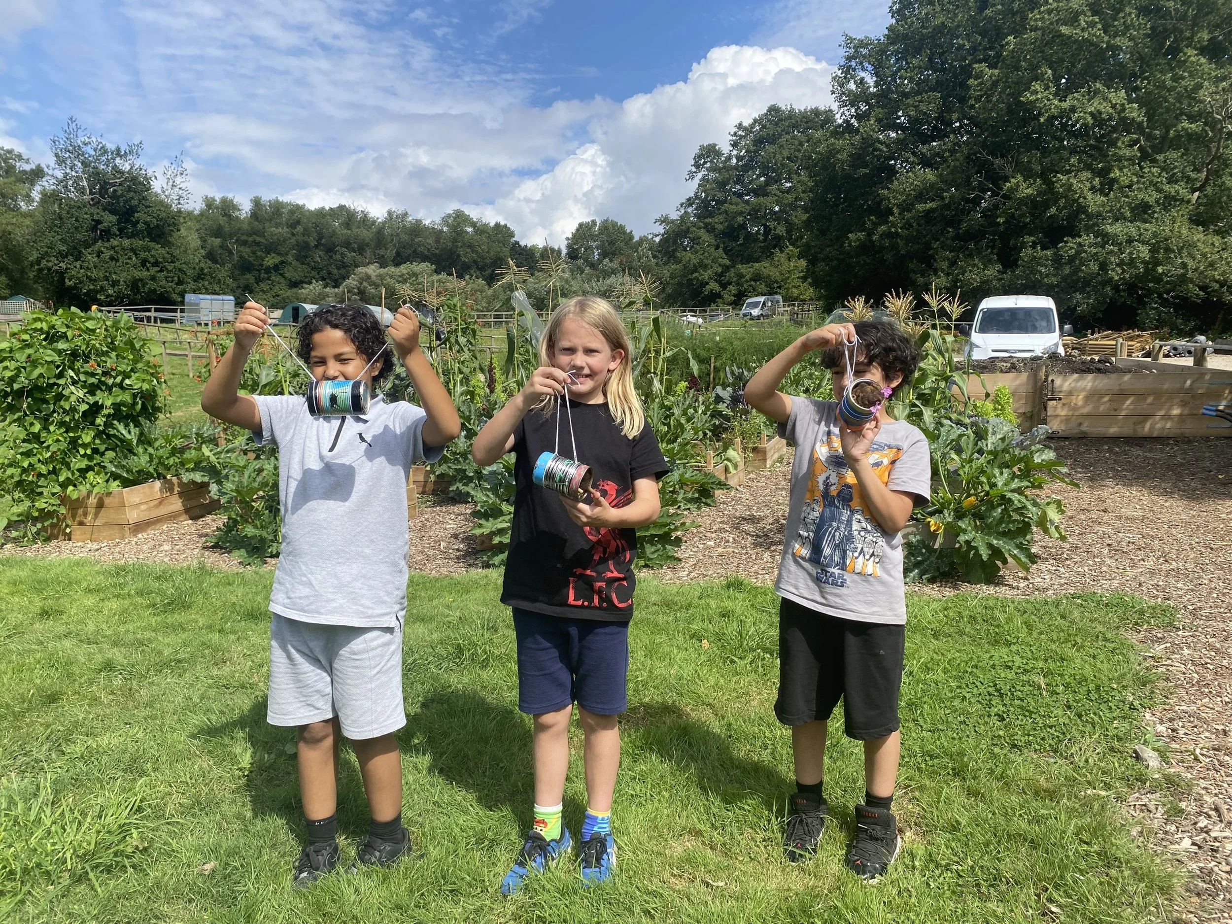 SweetTree Farming For All