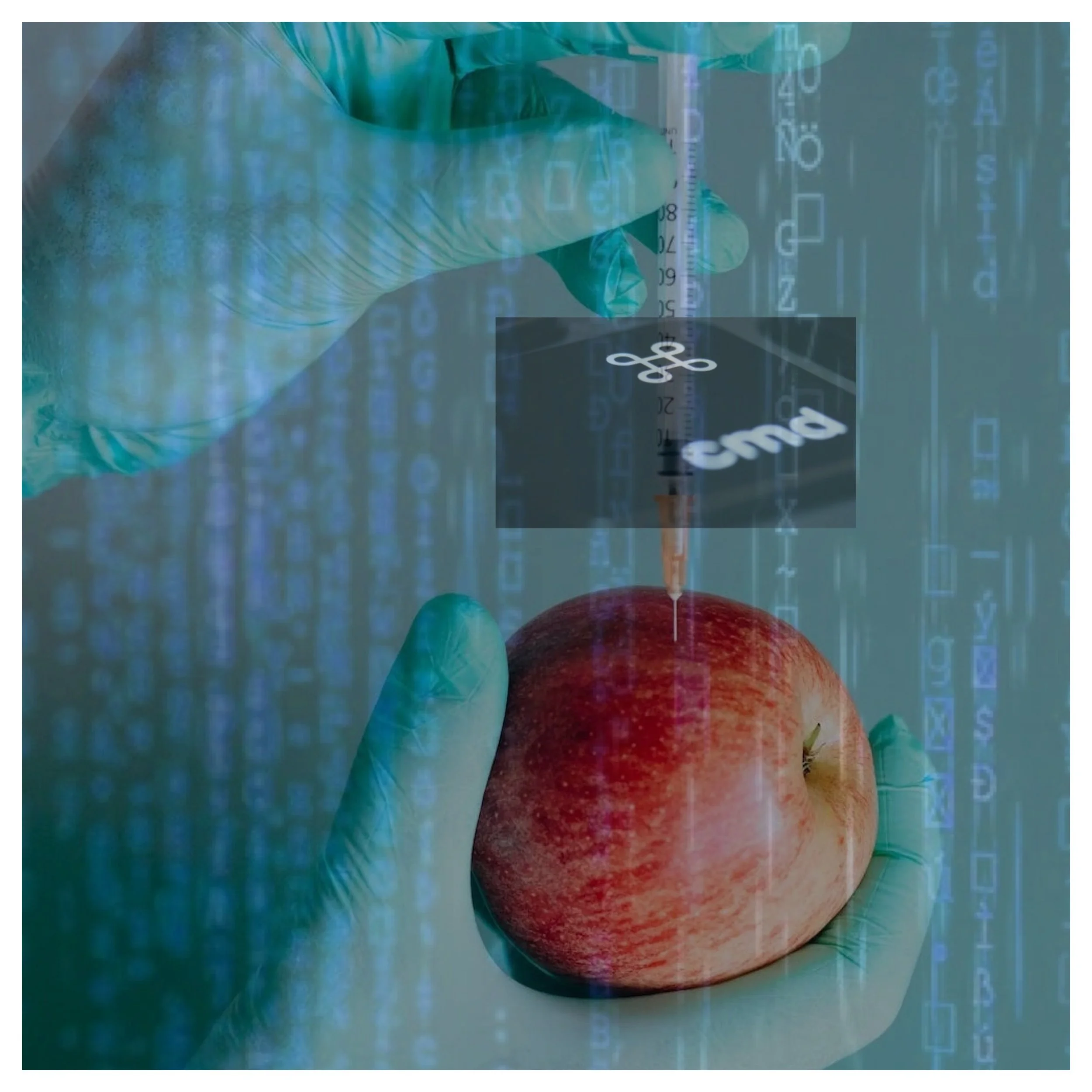 Command Injection — Gratitech