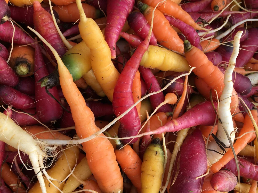 Find a Partner Location — Greaux the Good