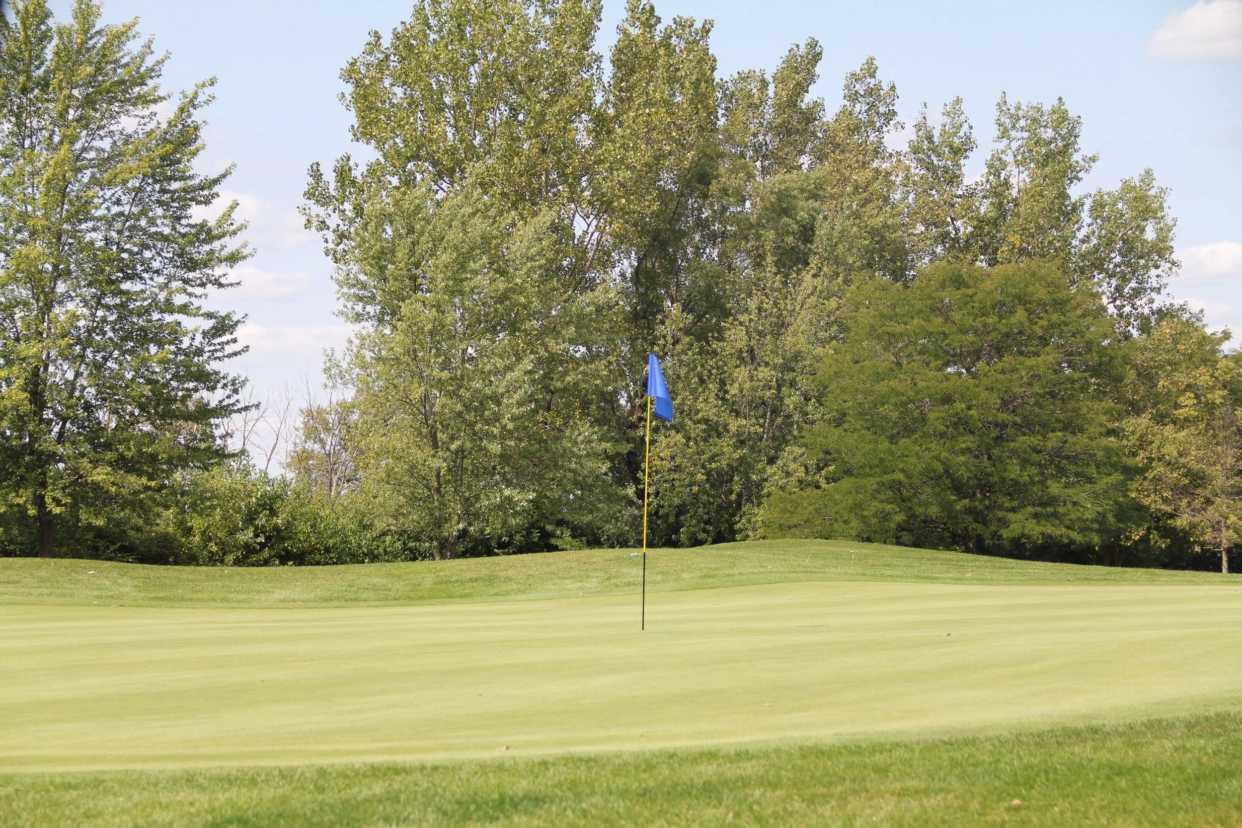 About the USAGA — USAGA - U.S. Adaptive Golf Alliance