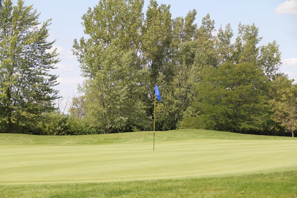 About the USAGA — USAGA - U.S. Adaptive Golf Alliance