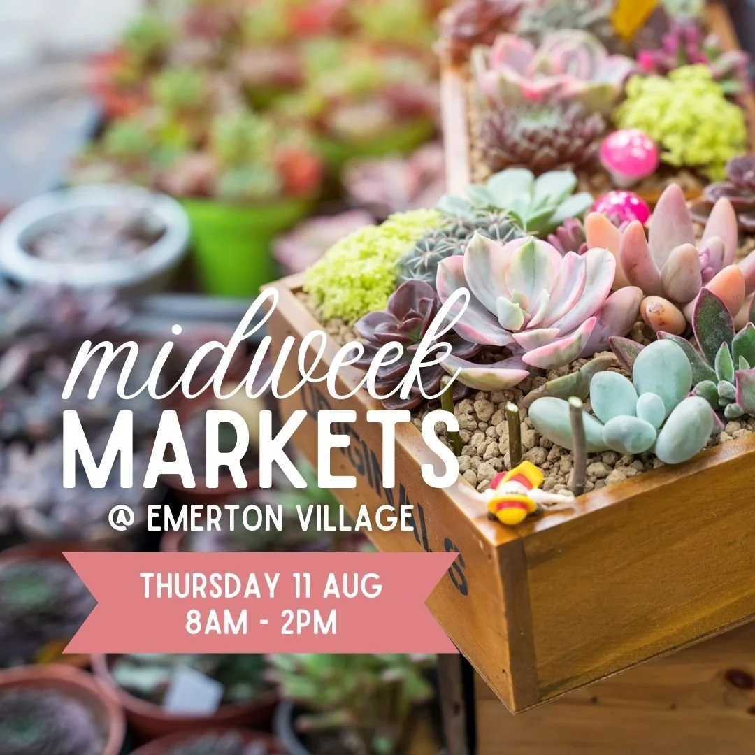 WHAT'S ON — EMERTON VILLAGE