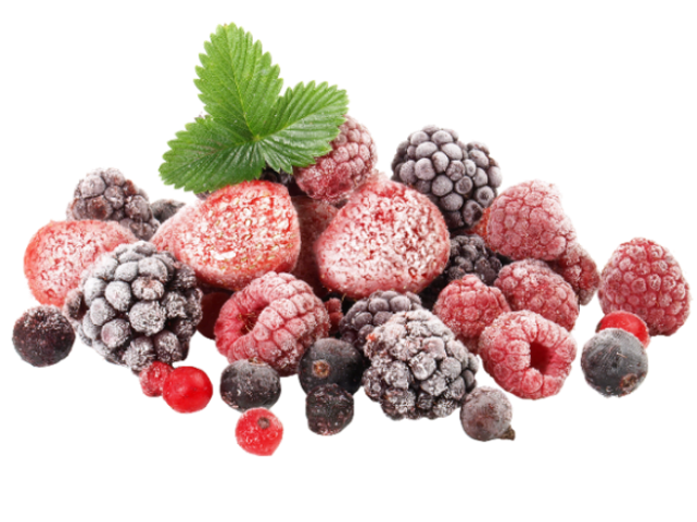 Fresh vs Frozen — Fit N Nourish