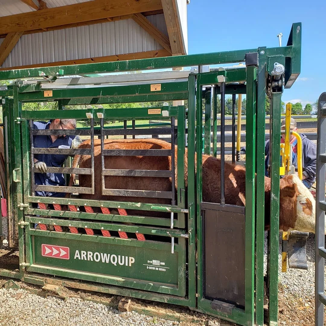 American Heritage Family Farm | Pasture Raised Meat