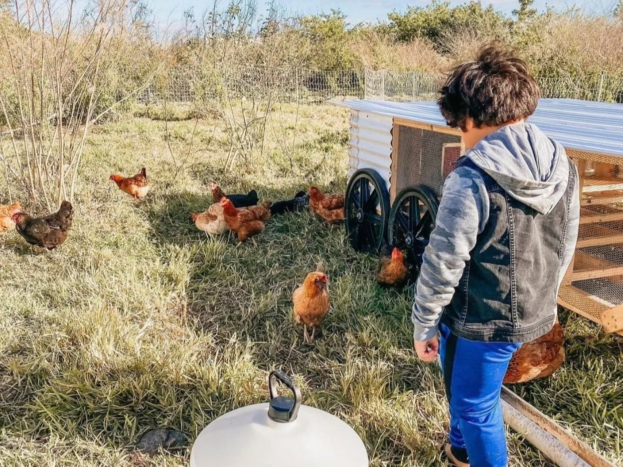 Nourished Pastures | Pastured Poultry & Farm Fresh Eggs