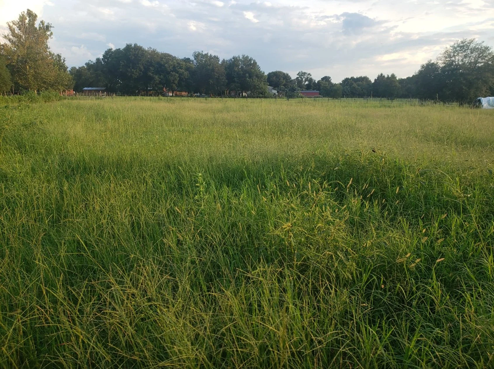 Nourished Pastures | Pastured Poultry & Farm Fresh Eggs