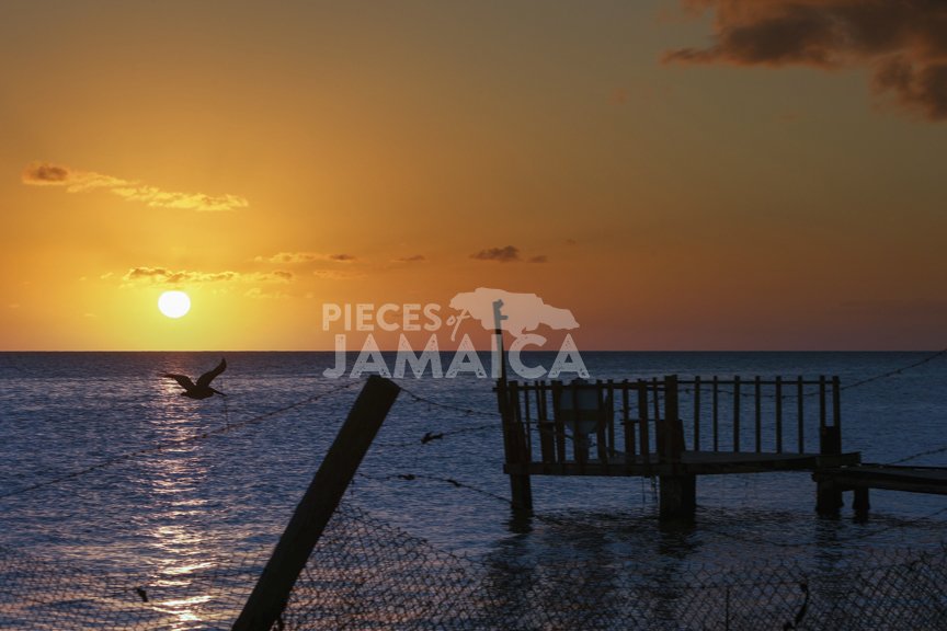 Shop — Pieces of Jamaica Coffee Table Book of Photos of Jamaica