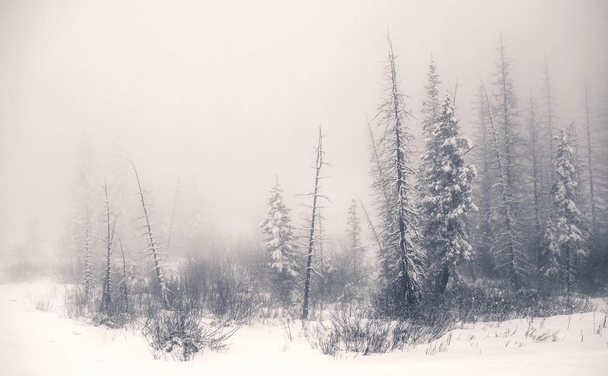 Ryan McGehee - Photography / Video