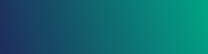 About Us — Selene Finance