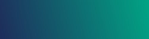 About Us — Selene Finance
