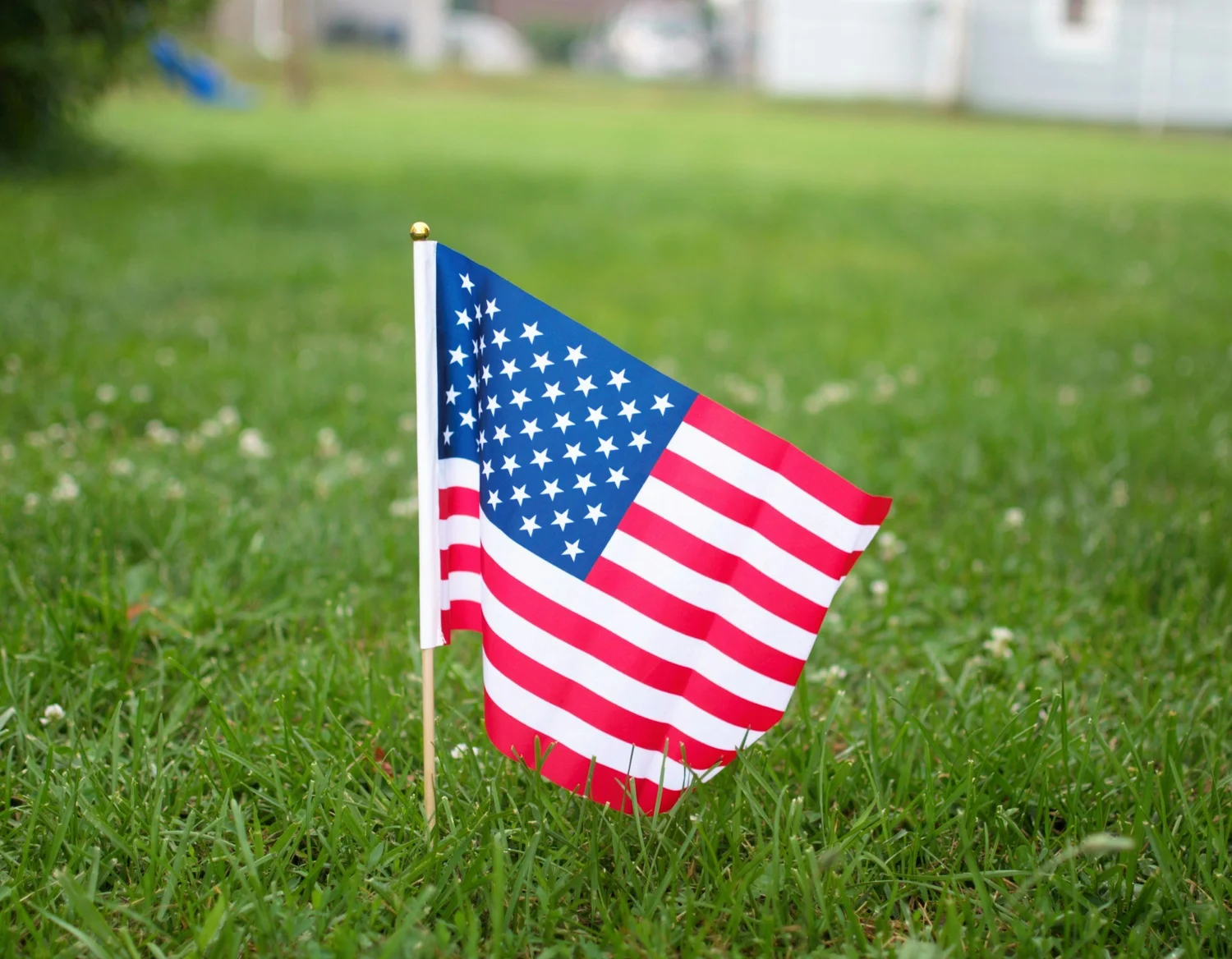 50 Things That Are Legal in the United States but Illegal in Other ...