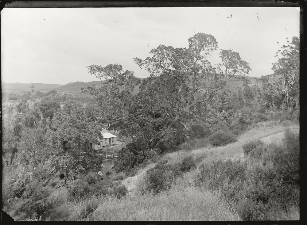 Rich History - Orewa — Orewa Sands
