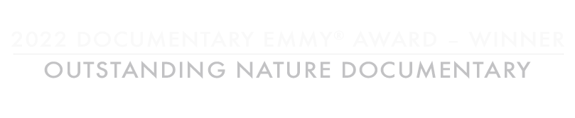 Puff: Wonders of the Reef — Wild Pacific Media