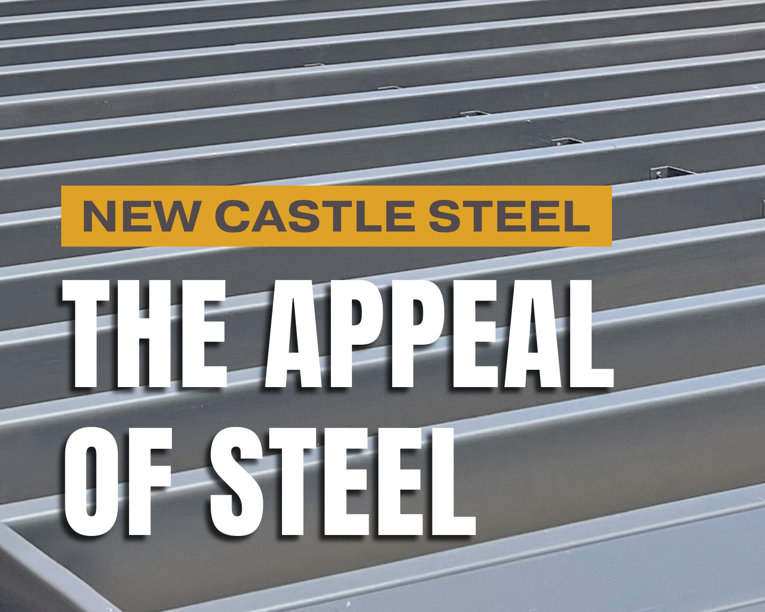 Insights — New Castle Steel
