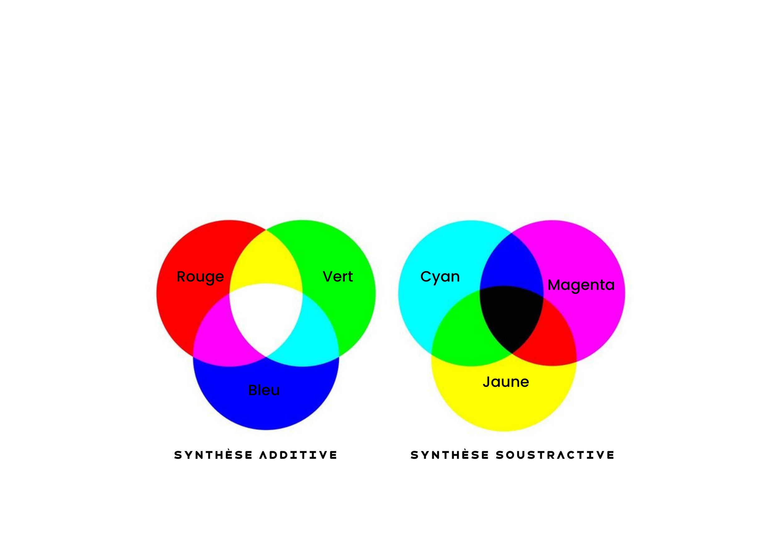 Les couleurs primaires — ANFAMA STUDIO