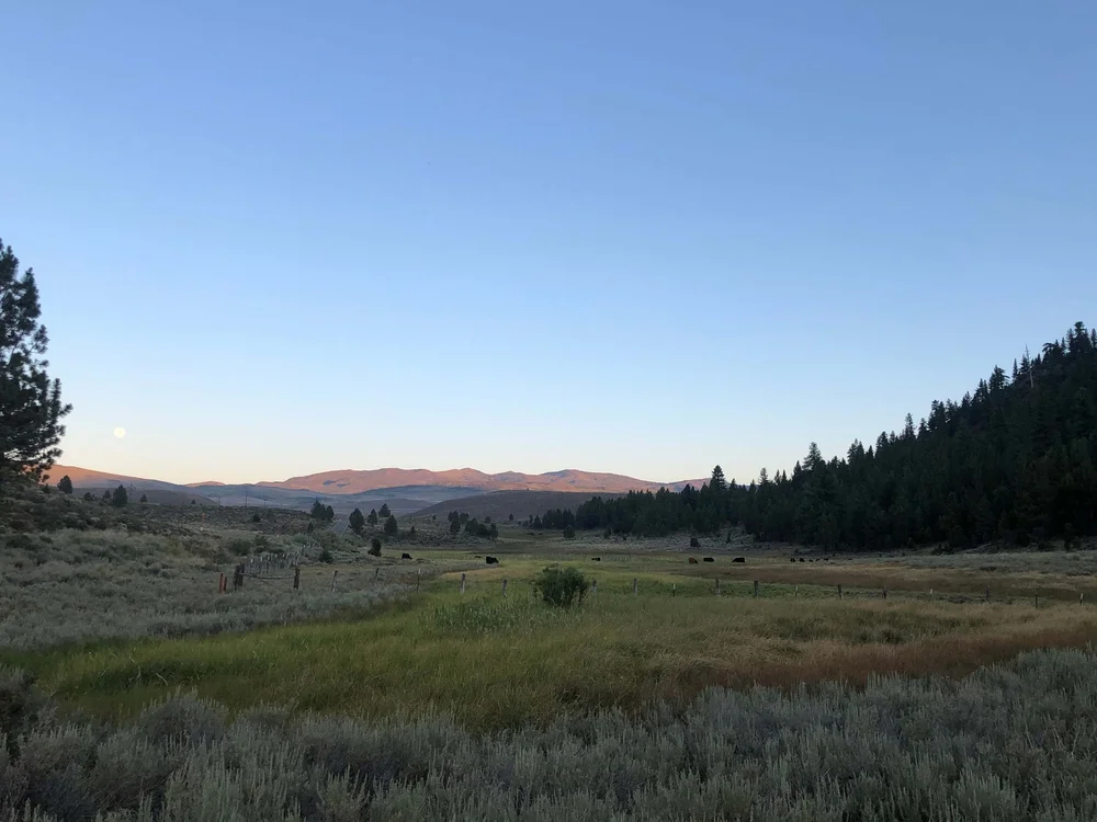 Isaac Simons | Writer from California