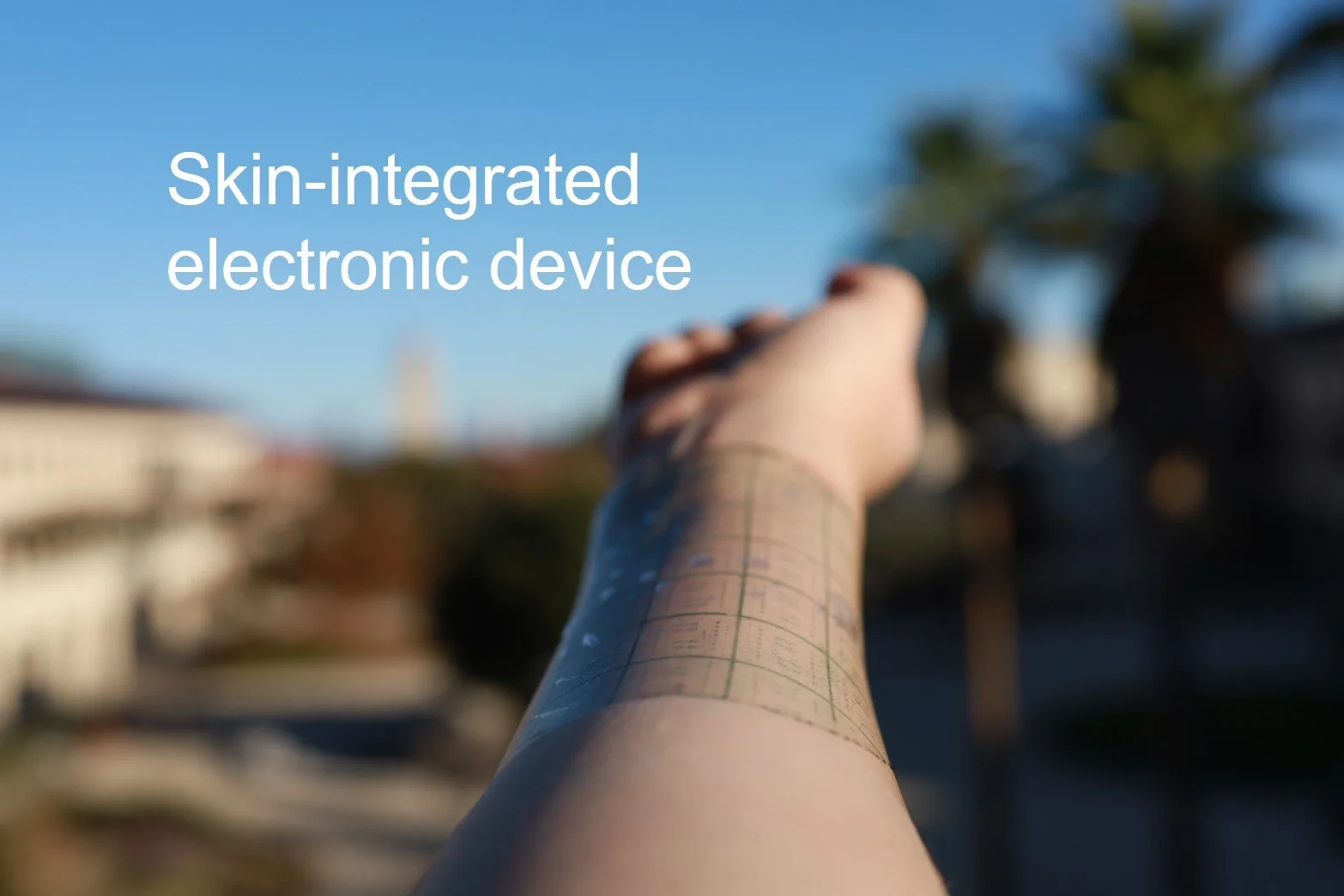 Research — Liu Lab