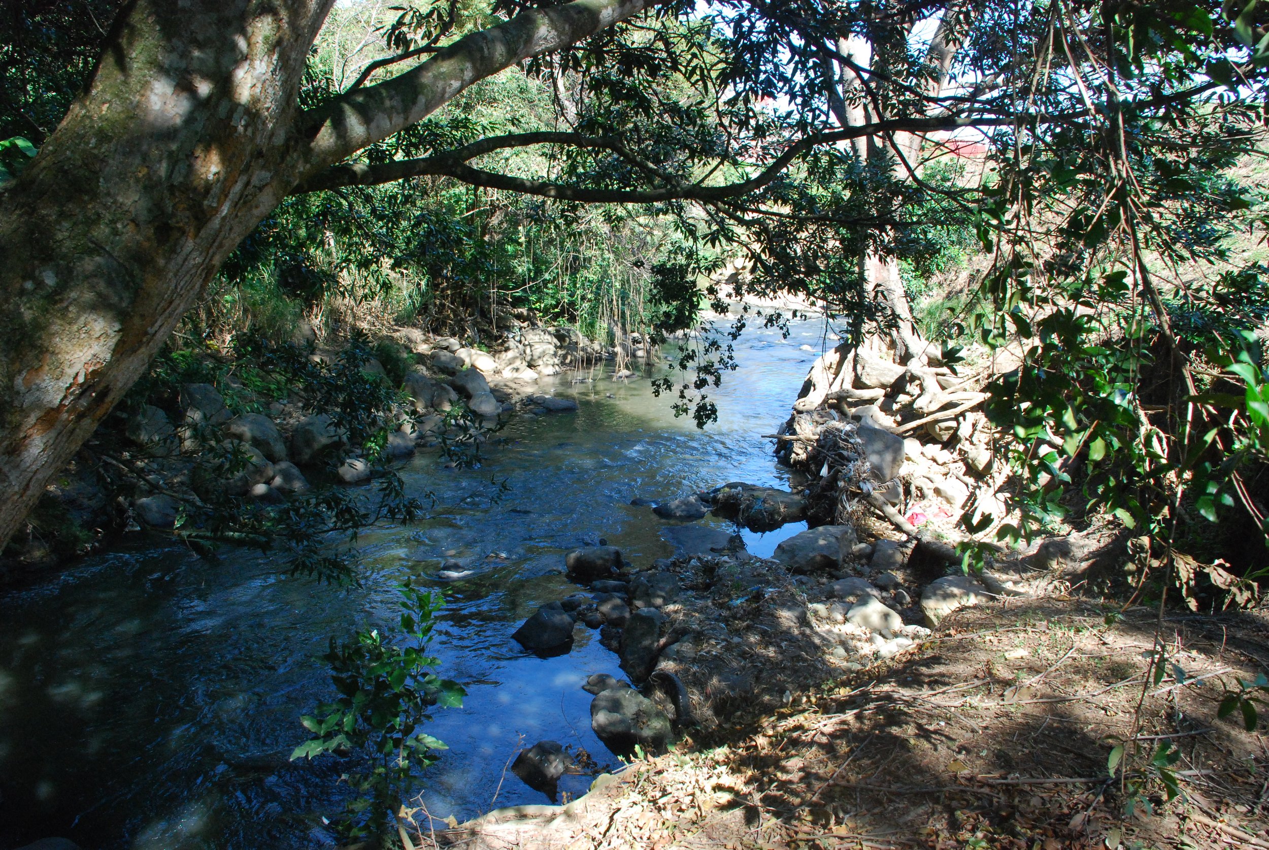 Amigos del Río Torres | Restauración ambiental y participación ...