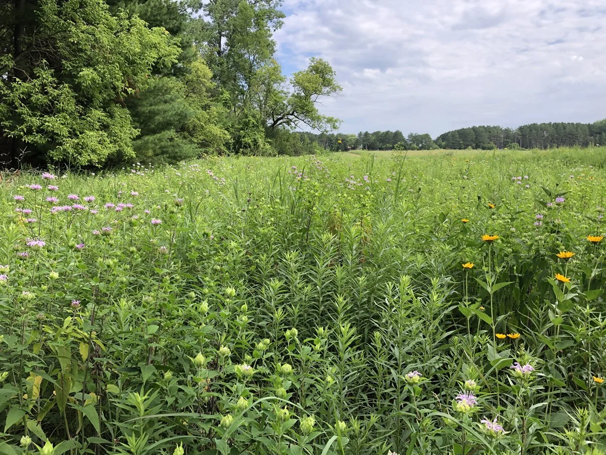 Habitat — Pollinator Friendly Alliance