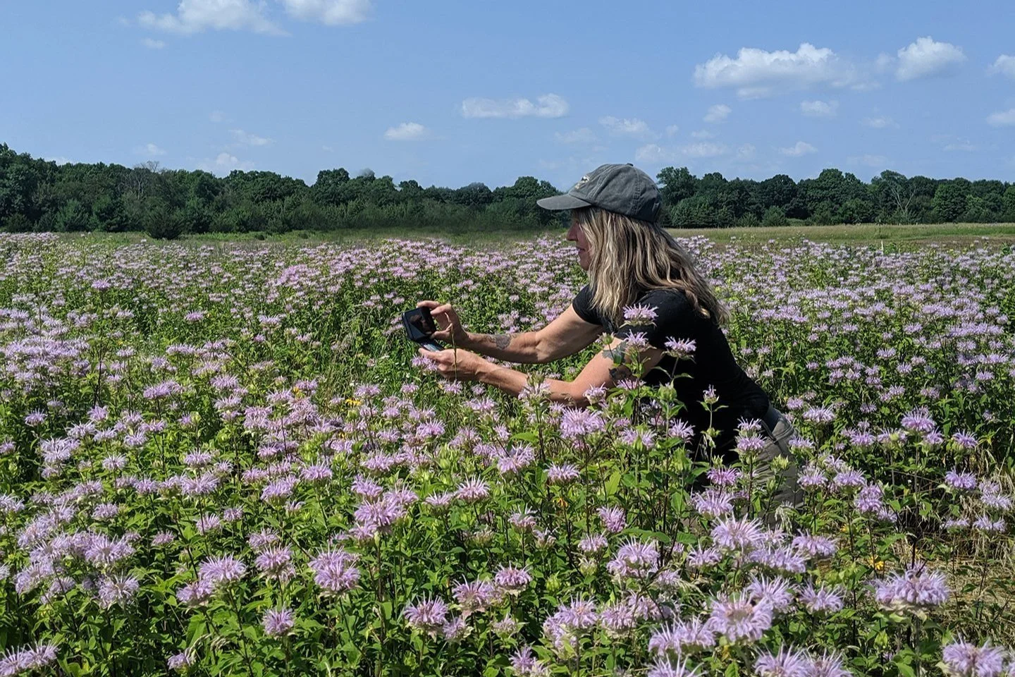 Events — Pollinator Friendly Alliance