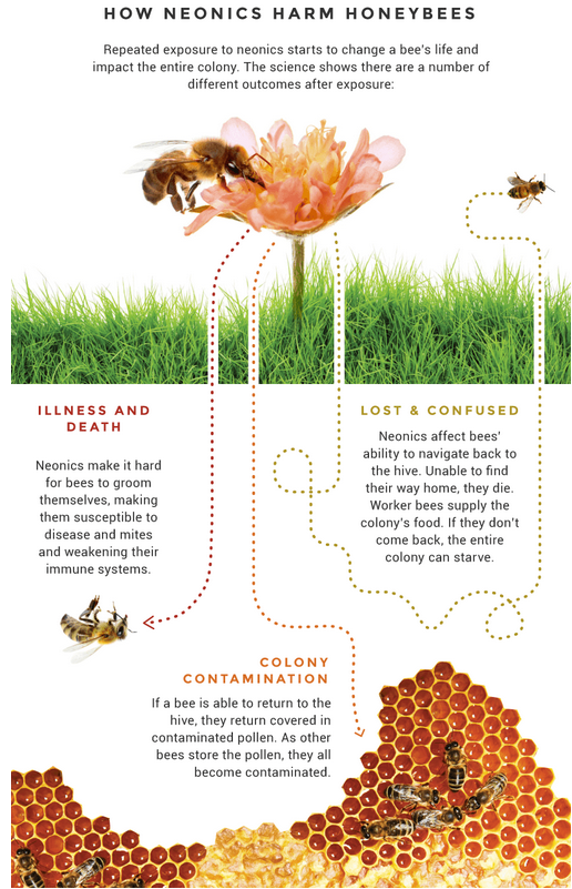 Pesticides — Pollinator Friendly Alliance