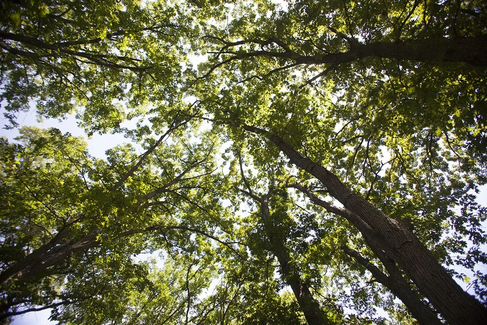 Our Work — Pollinator Friendly Alliance