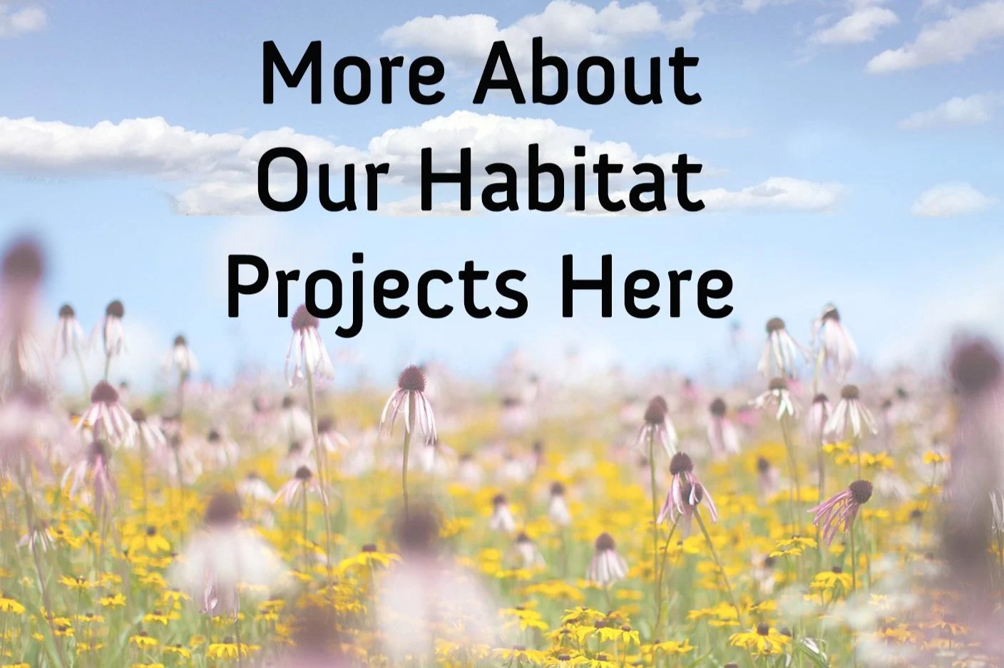 Our Work — Pollinator Friendly Alliance