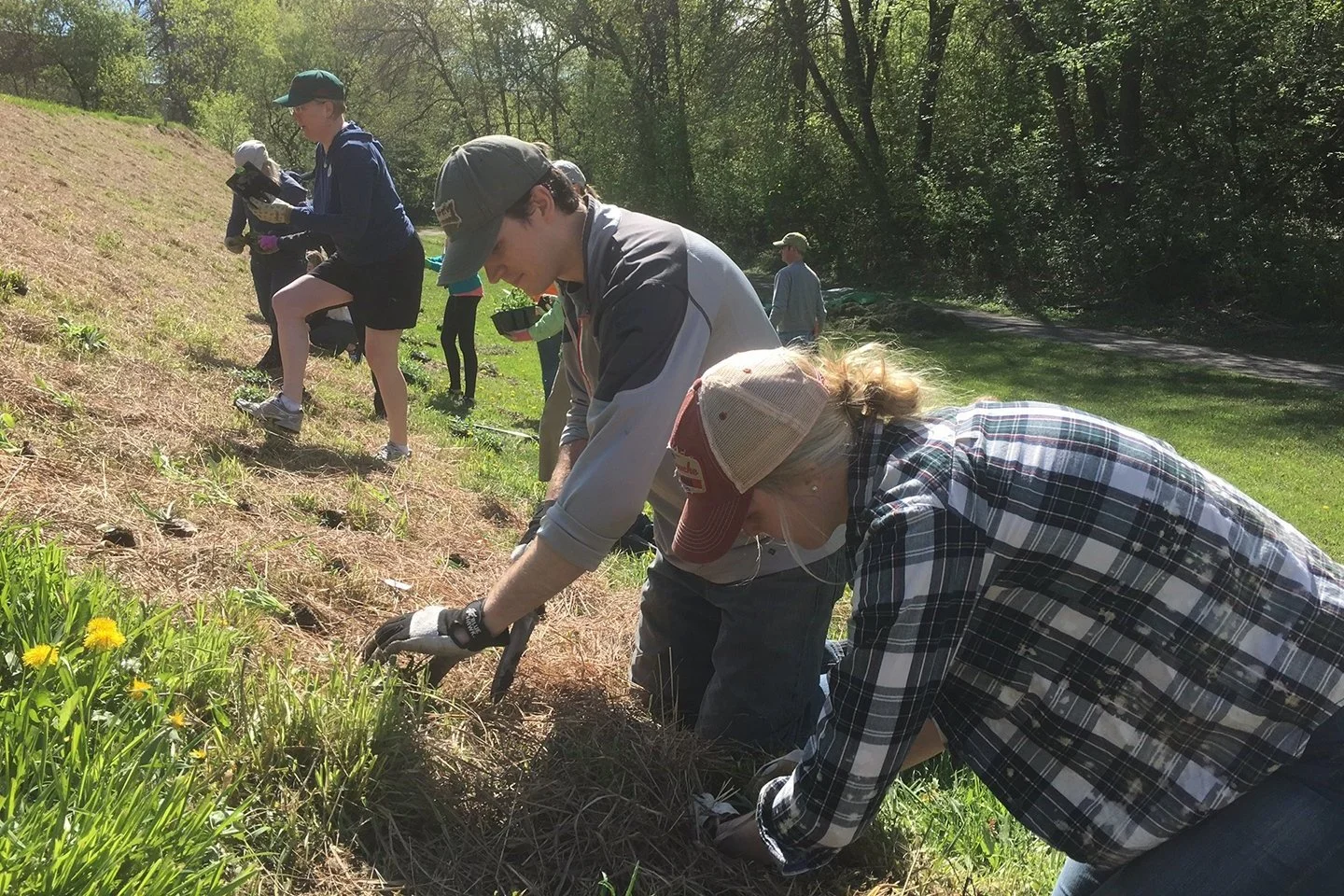 Our Work — Pollinator Friendly Alliance