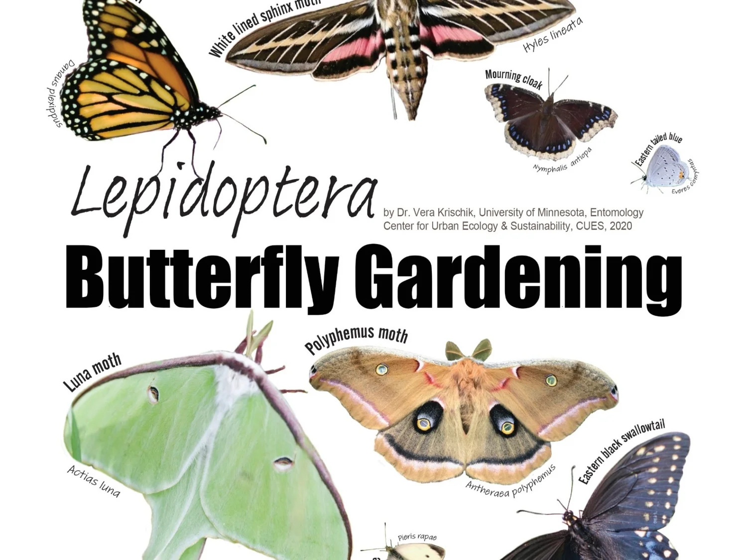 Bees — Pollinator Friendly Alliance