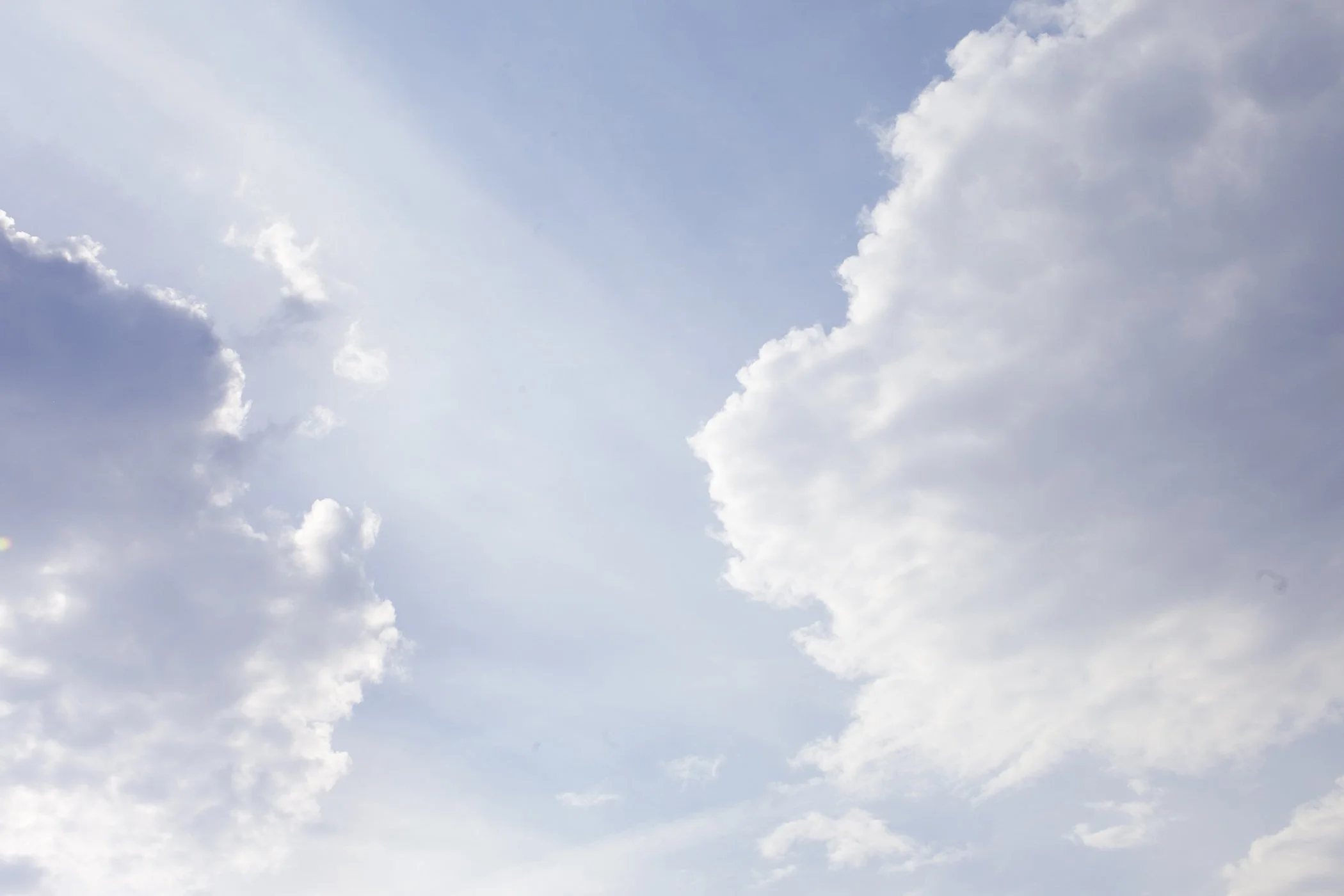 Take Action — Pollinator Friendly Alliance