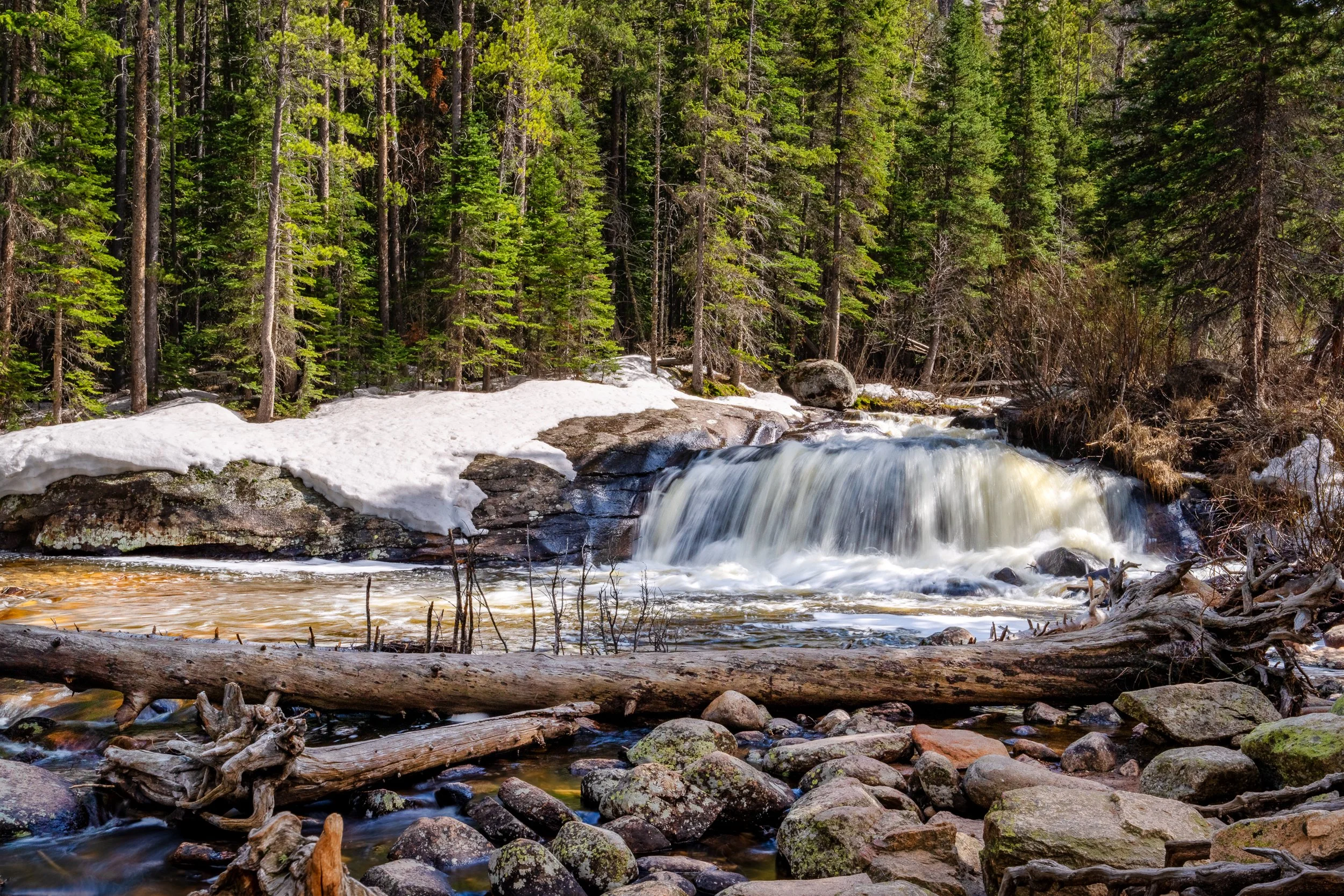 Exploring the great outdoors | Bryan Esler Photo