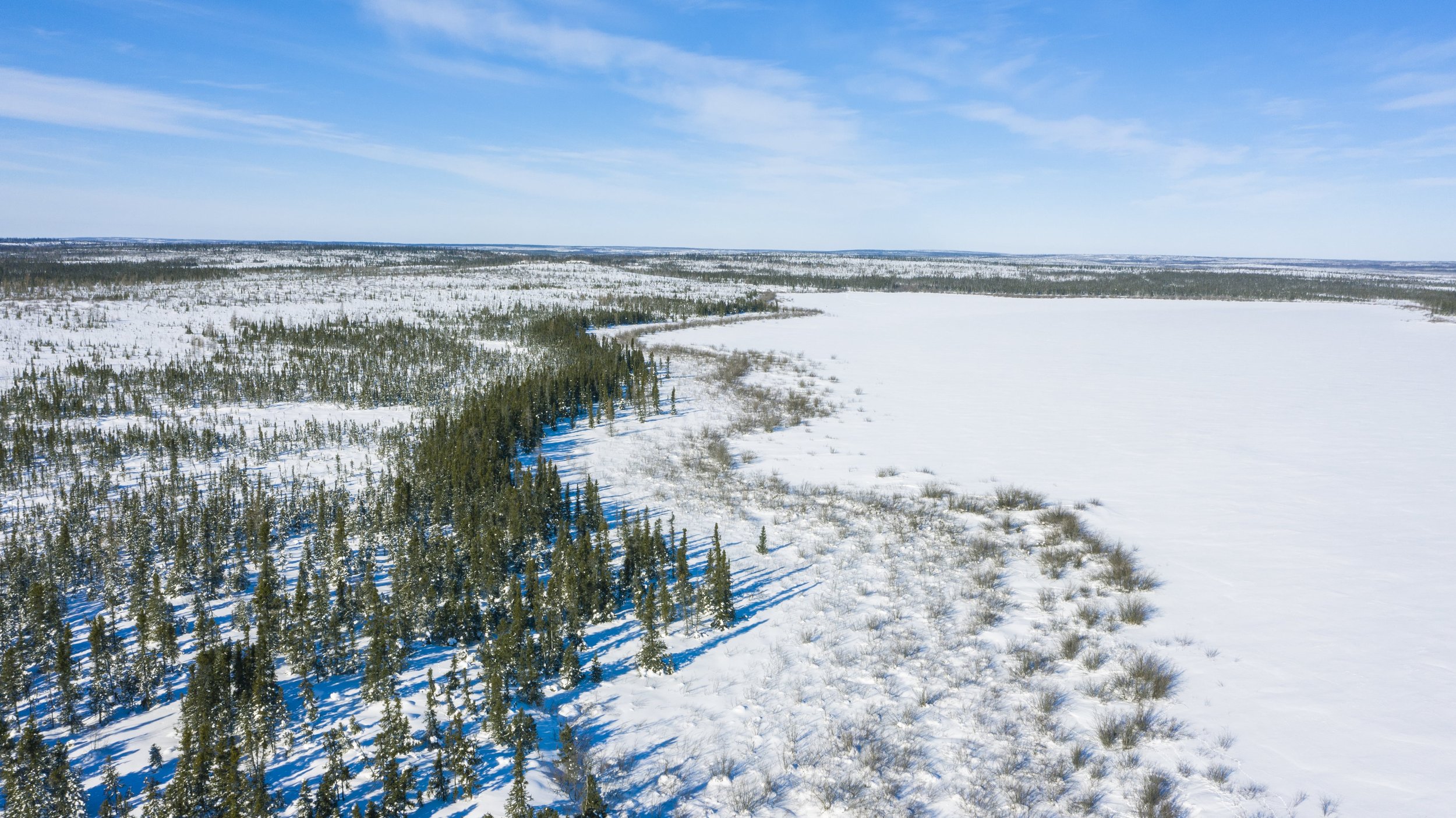 Protected Area in Seal River Watershed Is Feasible, According to ...