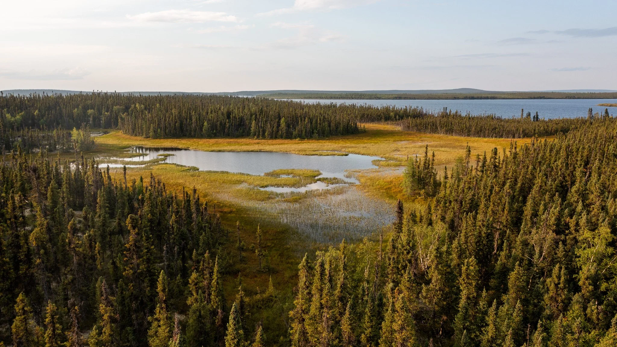 Major Milestone Reached in Seal River Watershed Alliance’s Journey to ...