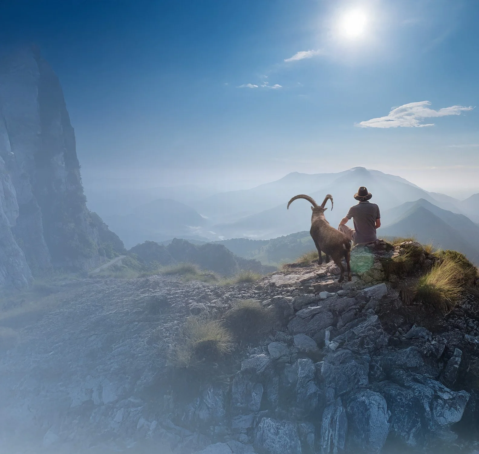 WealthDefender™ Series — Ibexis Life & Annuity Insurance Company™