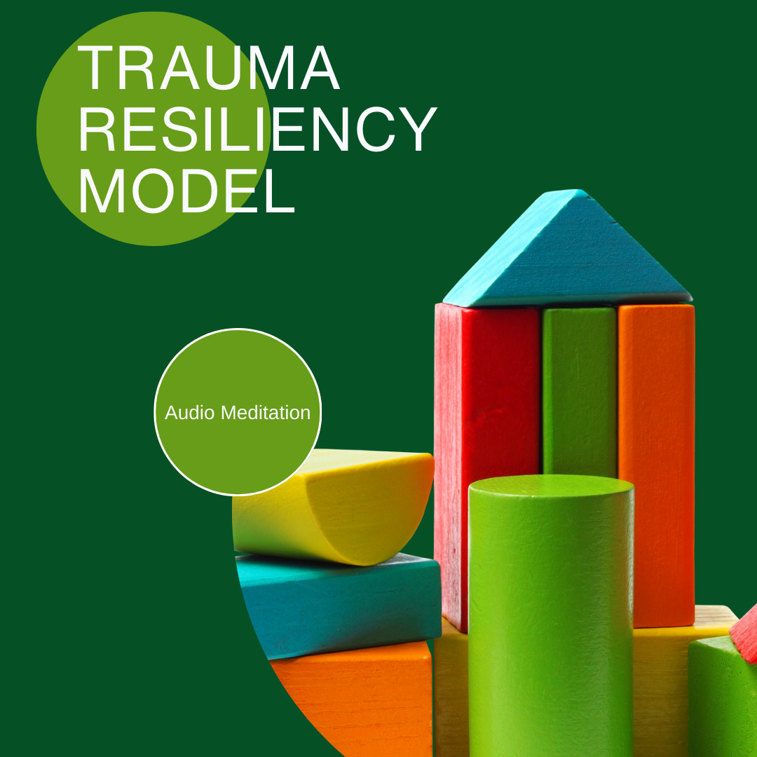 Welcome to Holistic Psychotherapy — Trauma Resiliency Model Audio ...
