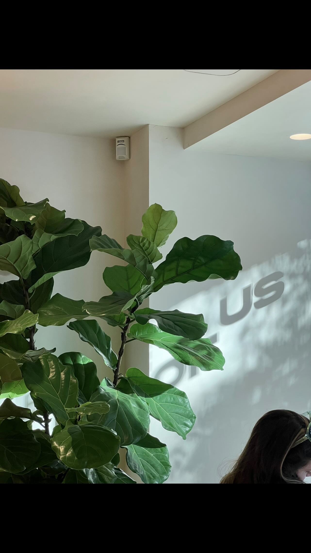 Isle of Us | Marketplace and Café | New York City | Healthy