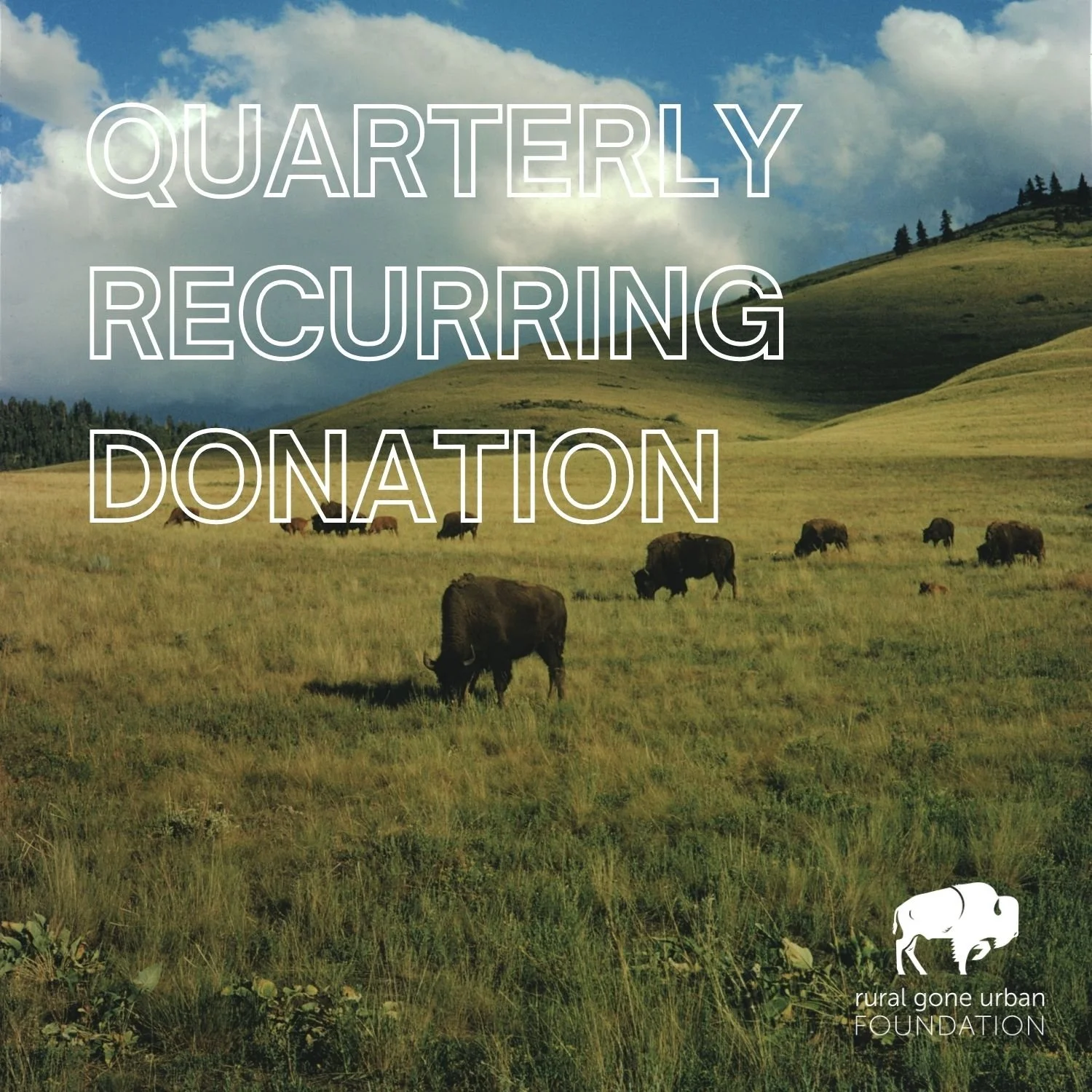 Donate — The Rural Gone Urban Foundation