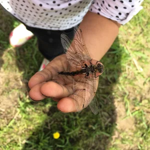 Samara Early Learning