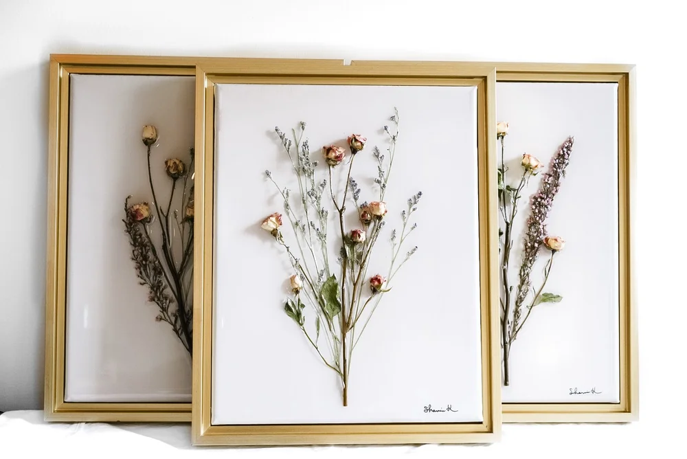 Shannia K Artwork & Design