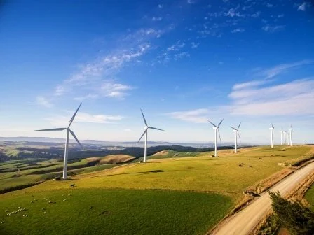 Mount Stuart Wind Farm — Pioneer Energy Renewables