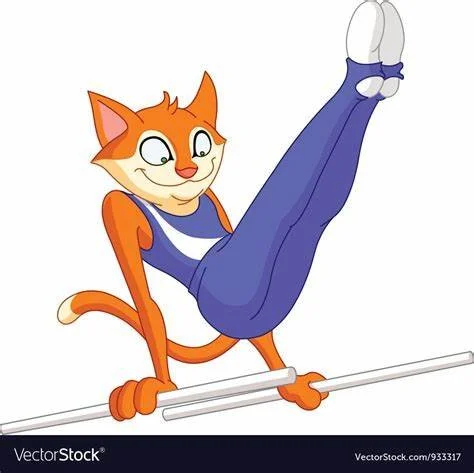 Services 1 — Broderick Gymnastics