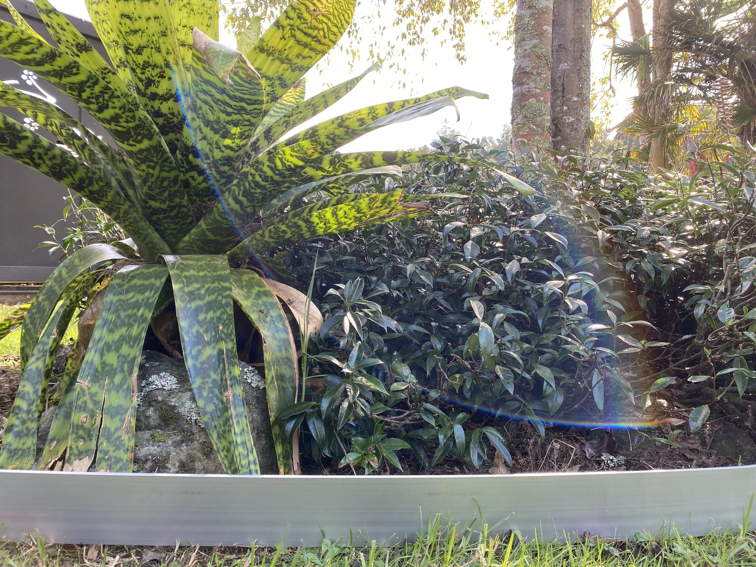 NZ’s Lawn & Garden Edging Experts | Garden & Lawn Edging