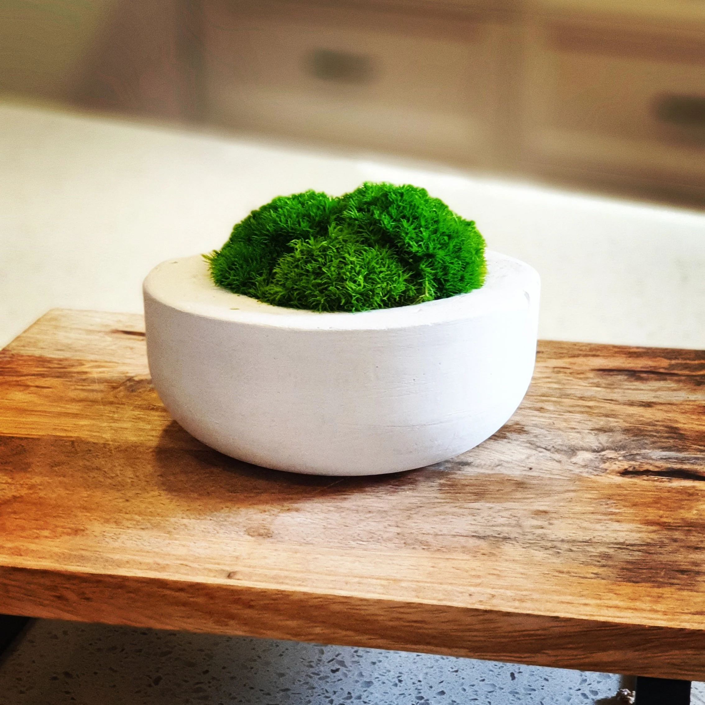Melbourne Moss Bowls — Melbourne Moss Bowls