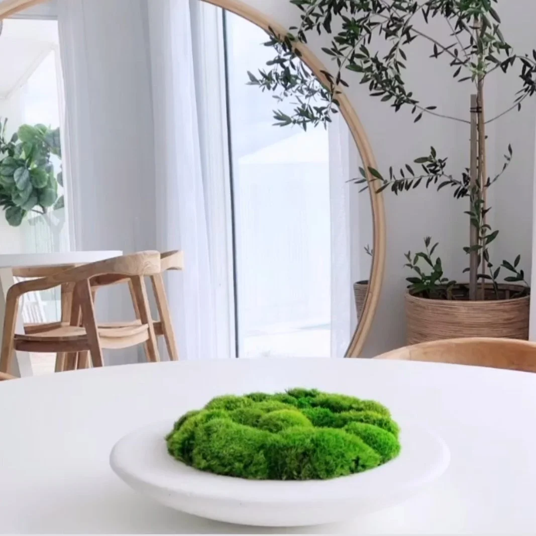 Melbourne Moss Bowls