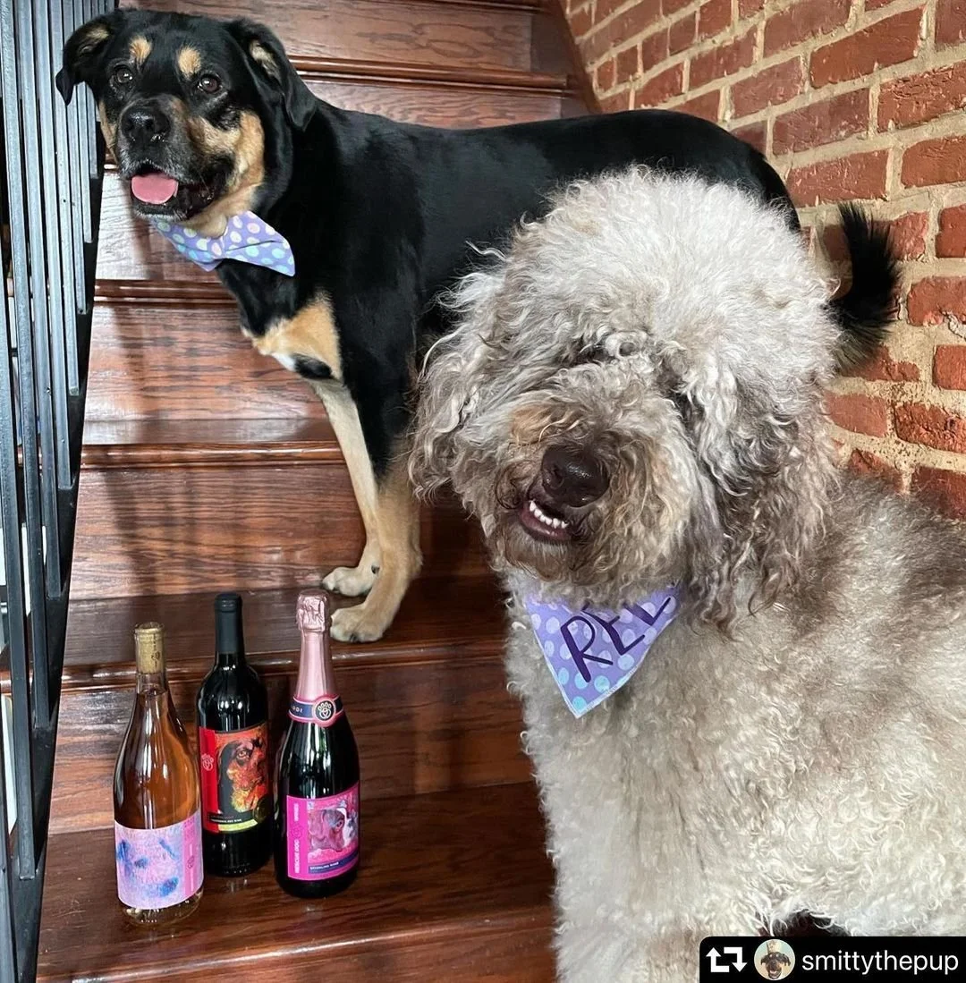 Rescue Dog Wines