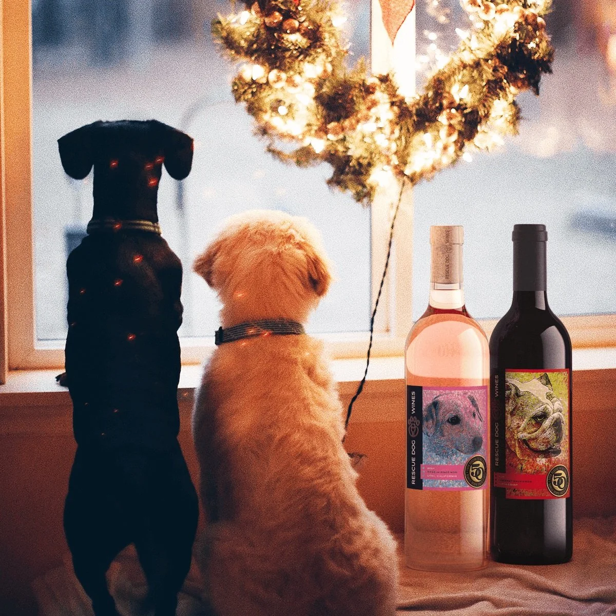 Can You Give Your Dog Wine