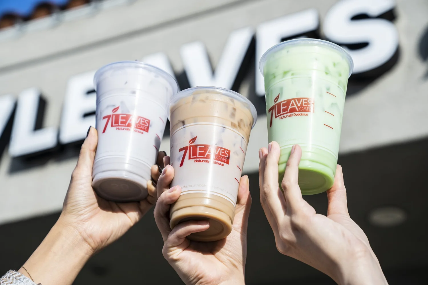 7 Leaves POP Campaigns — Jenn Chow Tran • Visual Designer
