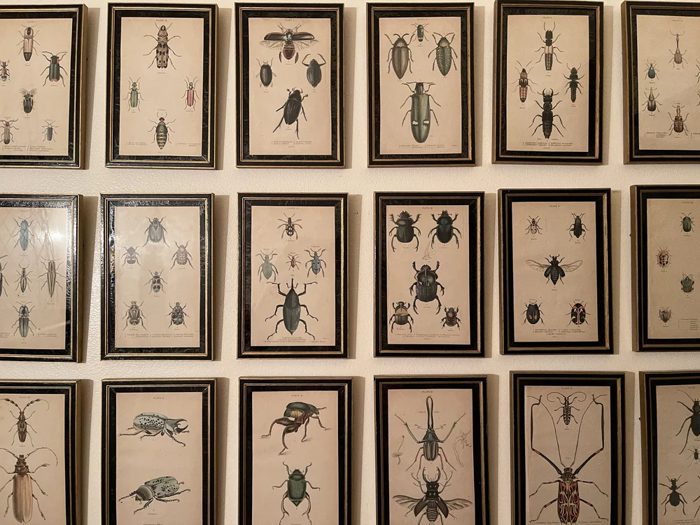 Collections — Scully and Scully, Inc.